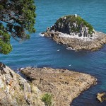 Road trip dans le Northland : nos immanquables ! • Soundwave on the ...